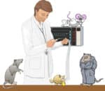 Finding Rat #42, alleged Harvard asshole - Ackadia